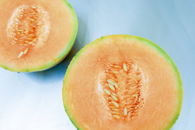 36 Types of Melons with Pictures