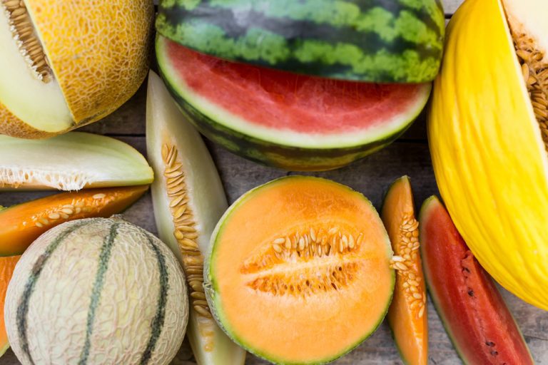 36 Types of Melons with Pictures