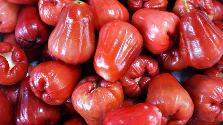 Fruits That Start with W - Complete List