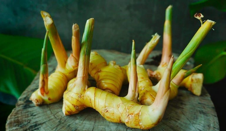 Complete List of White Vegetables