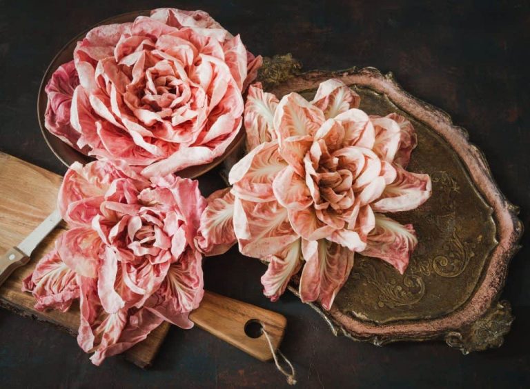 Complete List of Pink Vegetables