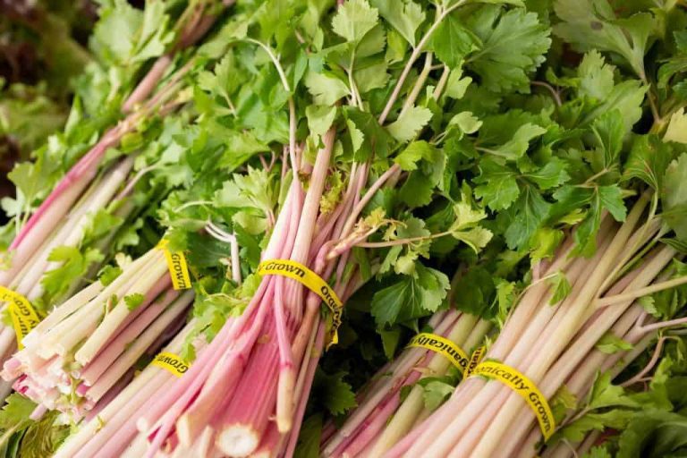 Complete List of Pink Vegetables