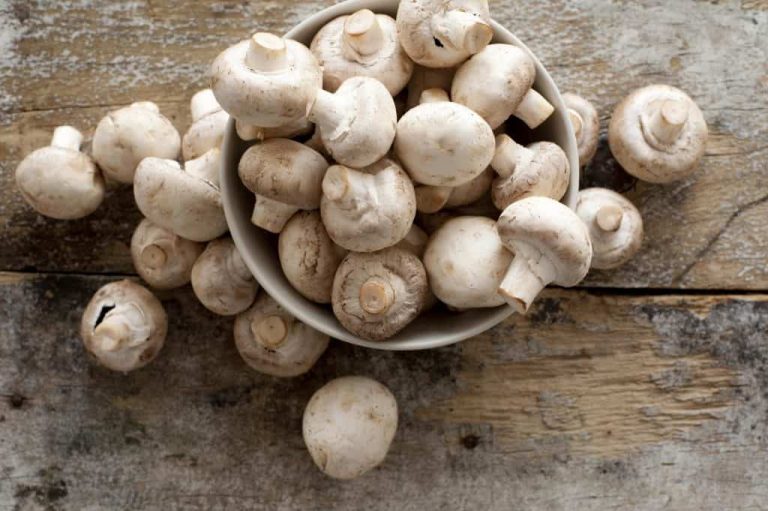 Complete List of White Vegetables
