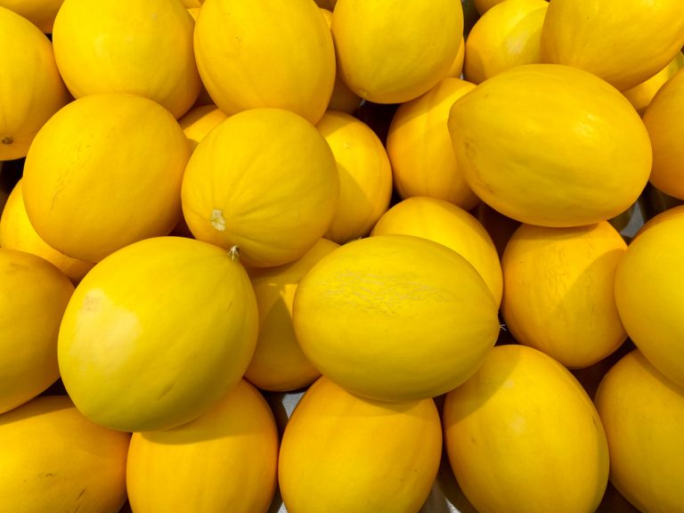 36 Types of Melons with Pictures