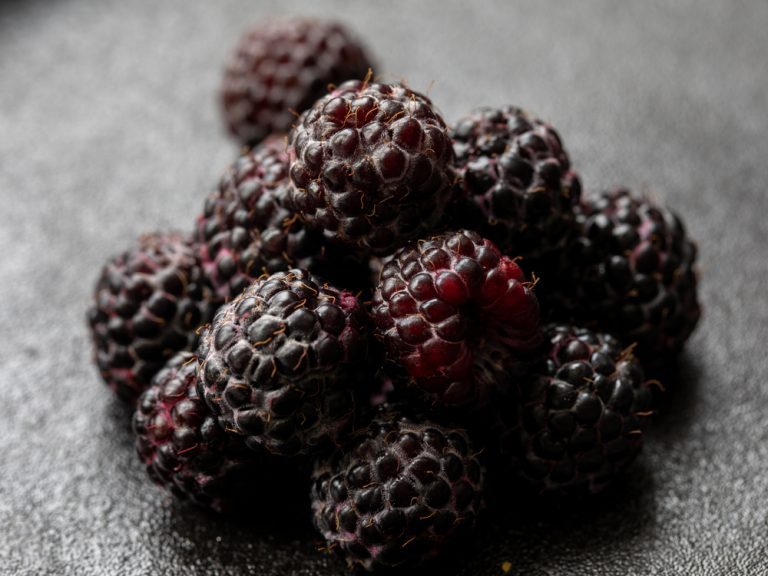 Fruits That Start With D - Complete List