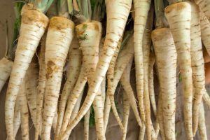 Complete List of White Vegetables