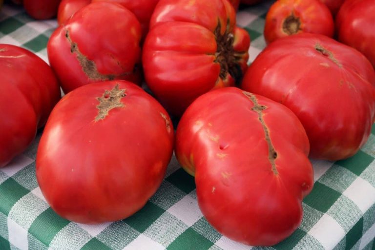 Complete List of Pink Vegetables