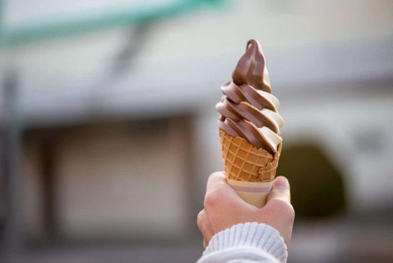 34 Types of Ice Cream with Pictures