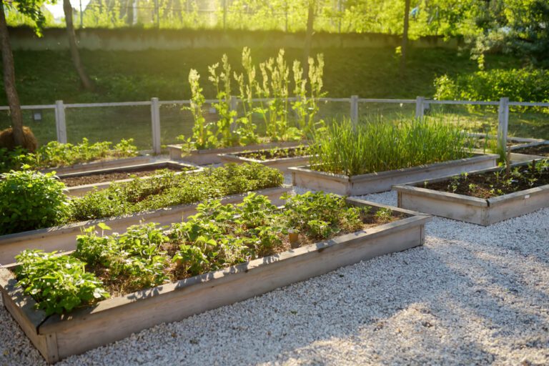 18 Different Types of Gardens