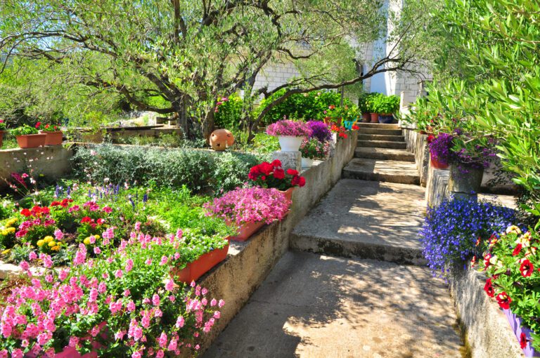 18 Different Types of Gardens