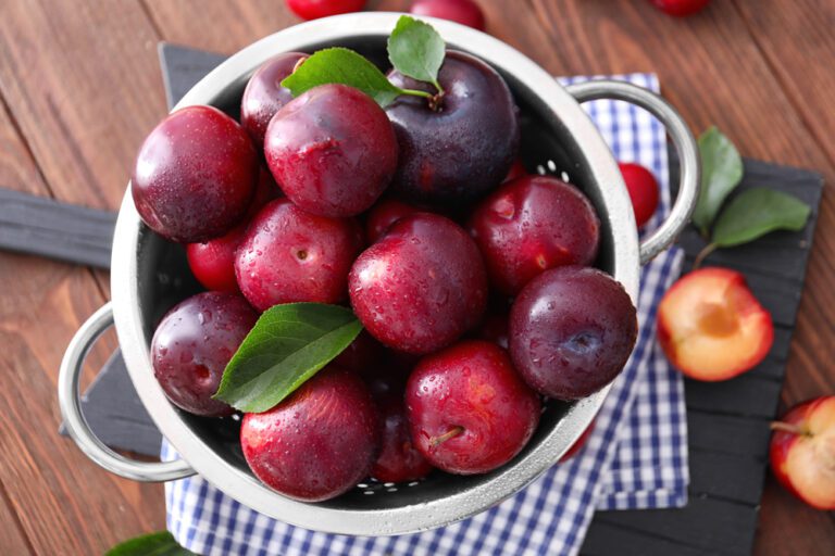 25 Different Types of Plums