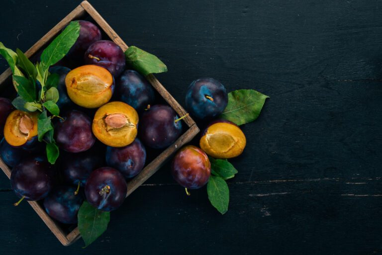 25 Different Types of Plums
